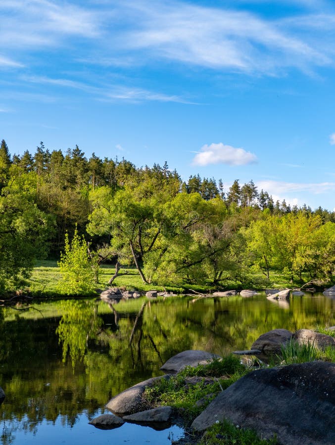 A Small Pond in the Middle of a Grassy Field Surrounded by Trees Stock ...