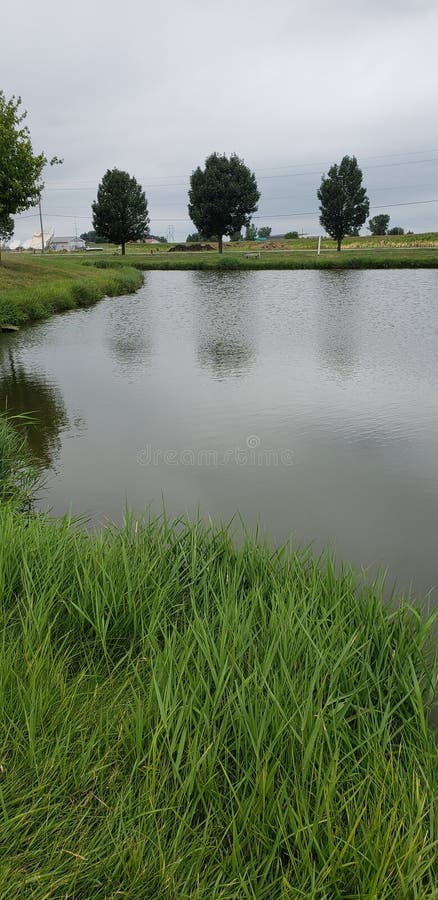 Walk by pond stock photo. Image of walk, calming, pond - 122277388