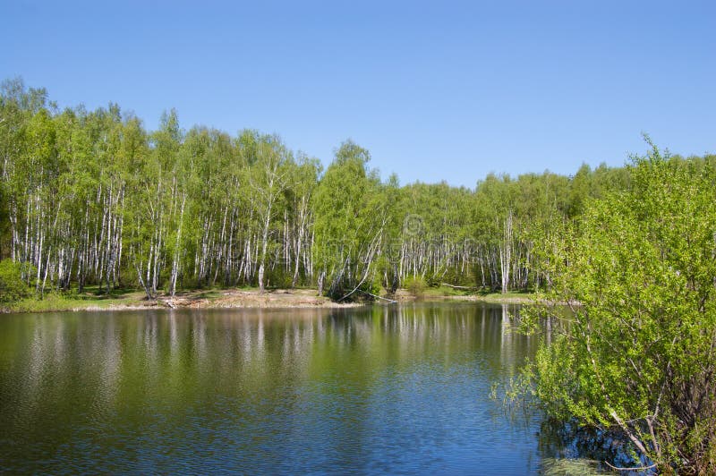 Small pond in park stock image. Image of season, park - 21537317