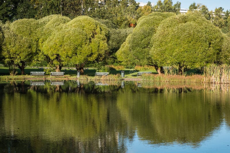 A small pond in a park stock image. Image of water, urban - 106686345