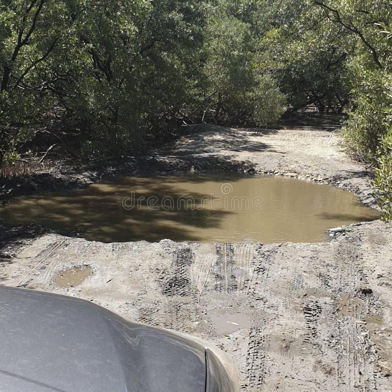 A small pond in the path stock photo. Image of river - 173488490