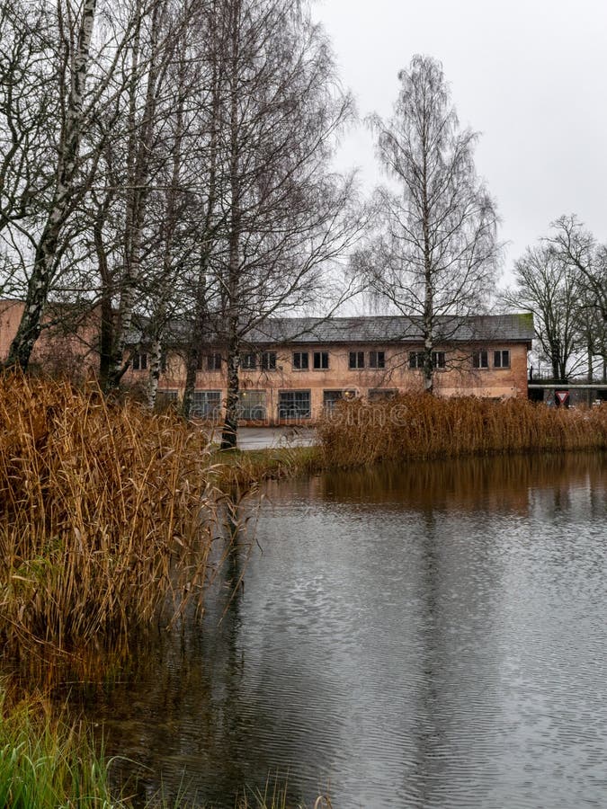 Small Pond on a Rainy and Misty Autumn Day Stock Photo - Image of ...