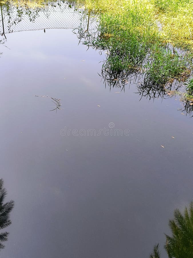 A Small Pond with a Fountain in the Middle Located Near the Forest ...