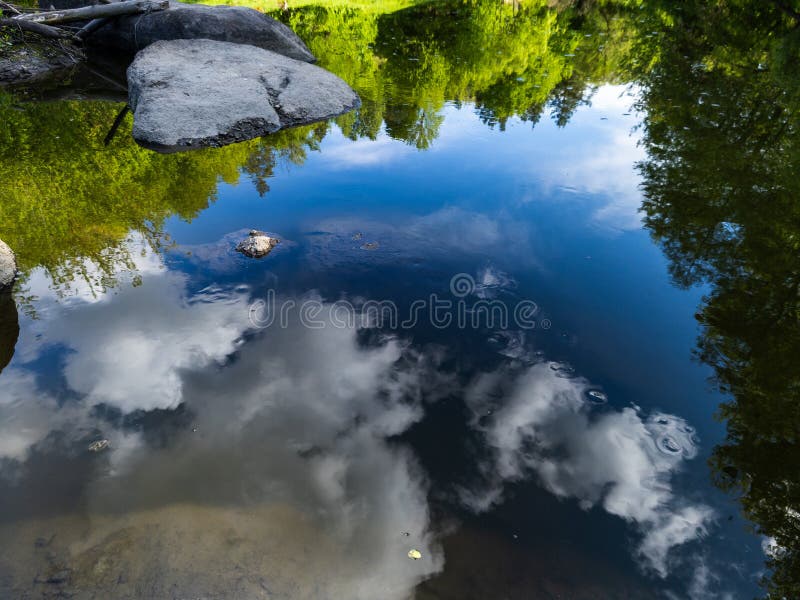 A Small Pond with Rocks and Trees Reflected in the Water Stock Image ...