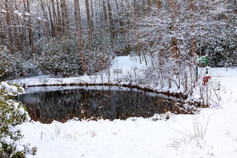 Small Pond Surrounded by Snow in Pisgah Forest Stock Image - Image of ...