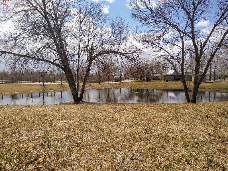 Small Pond with Trees in the Park Stock Photo - Image of countryside ...
