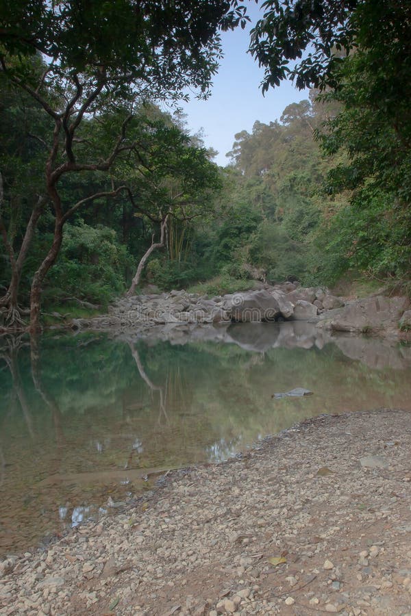 A Small Pond at the Uppon River, Shing Mun Reservior Stock Image ...