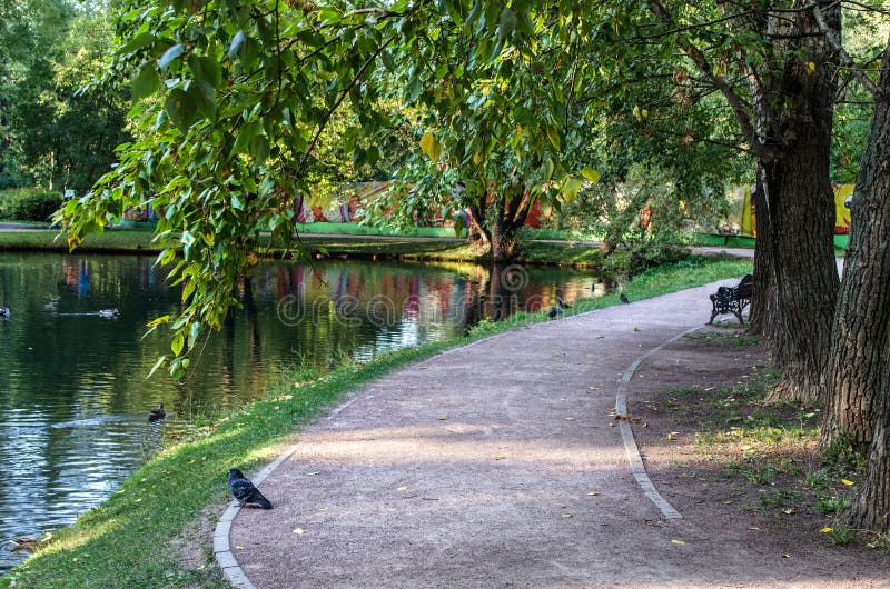 Pond in the park stock image. Image of russia, view - 189806031