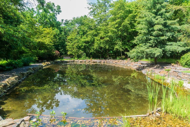 Small Pool with Stones and Bench on Bank and Trees Around Stock Photo ...