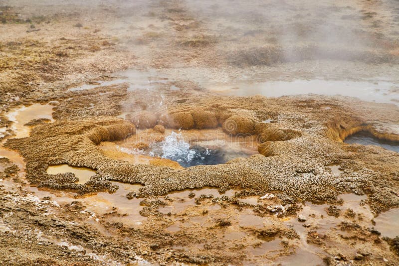 Small Pools in Spring at Yellowstone Stock Photo - Image of acid ...