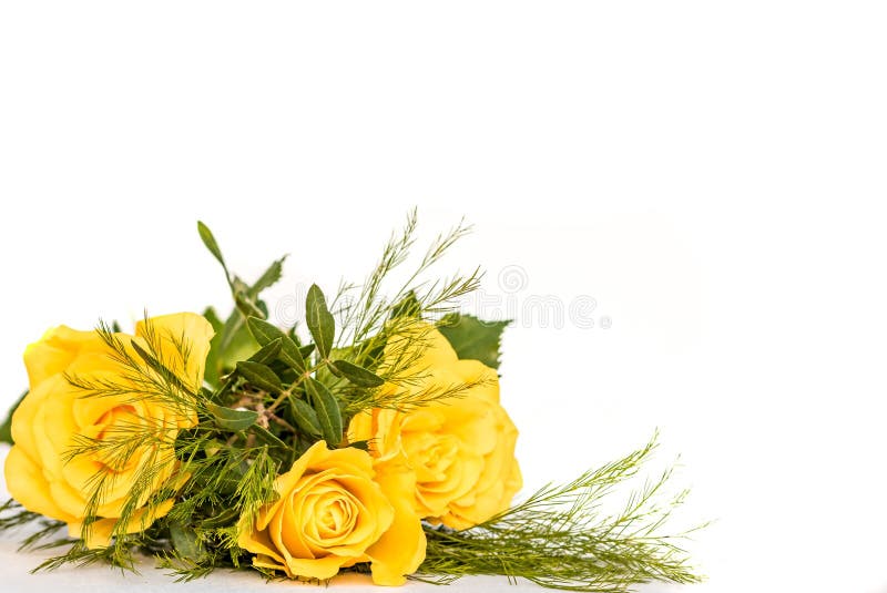 Small Posy of Three Yellow Roses with Green Foliage Stock Photo - Image ...