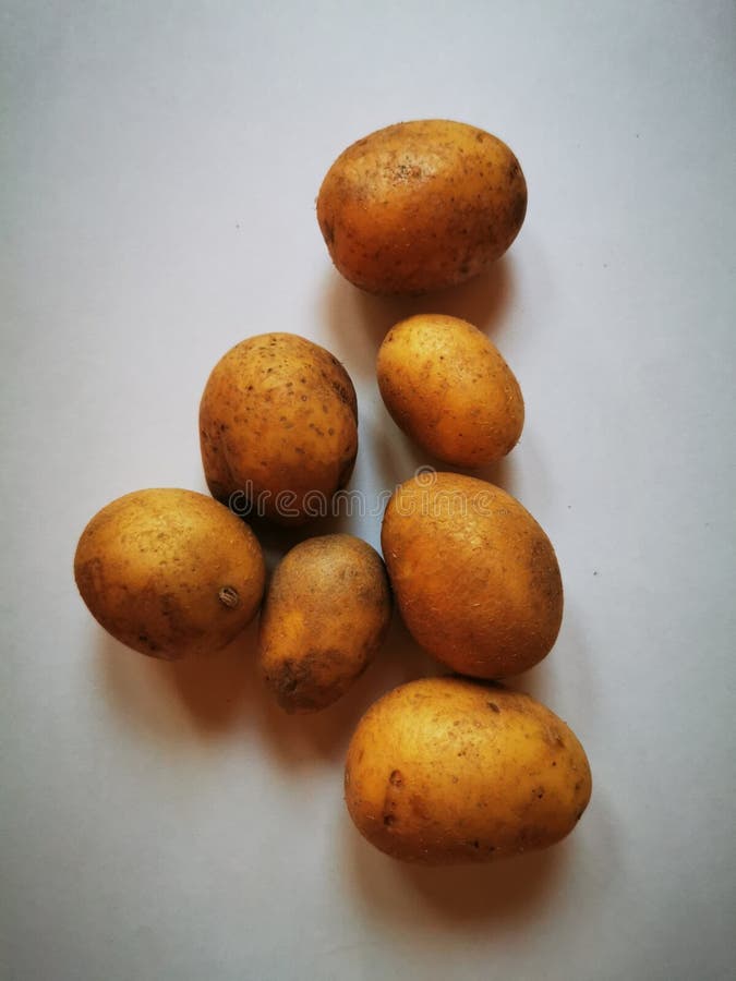 Small Potatoes in Yellow Peel on a White Background Stock Photo - Image ...