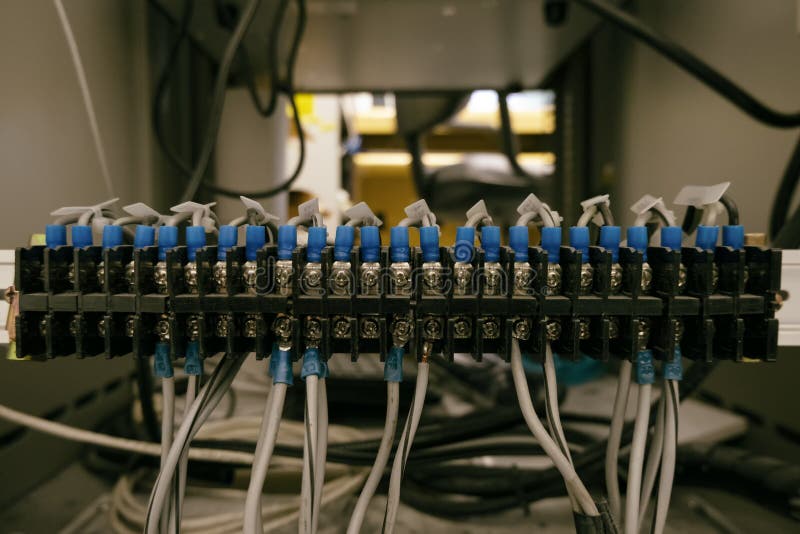 LAN cable stock photo. Image of service, hardware, router - 56797472