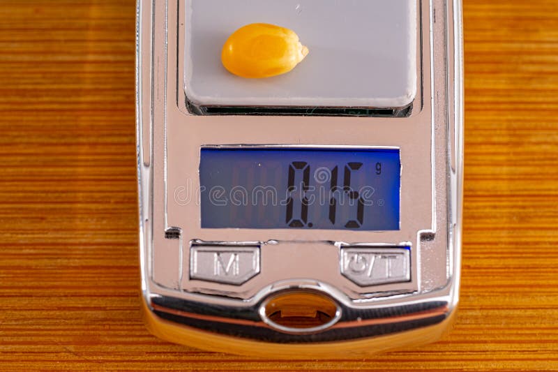 Small Precision Scales with a Corn Kernel Weighing 0.15g on the Digital ...