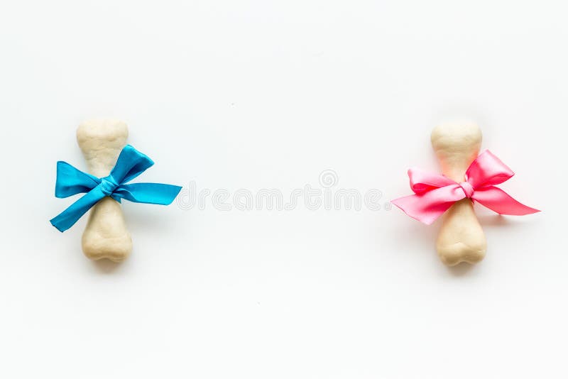Small Present for Dogs. Chewing Bones with Bow on White Background Top ...