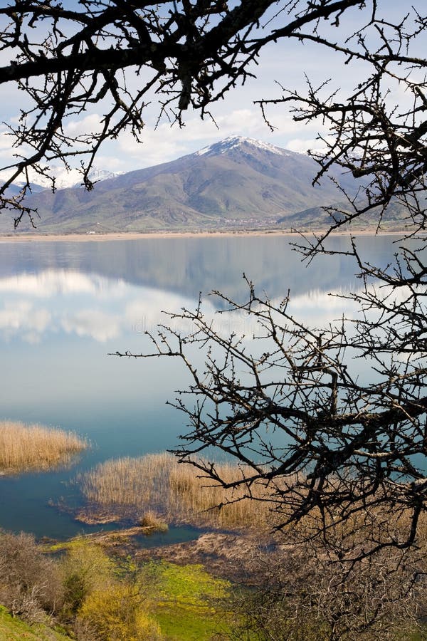 Small Prespa Lake, Greece stock image. Image of tree - 18838765