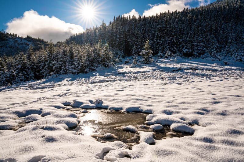 Small Puddle of Melted Snow in the Spring Sun in the Carpathian ...