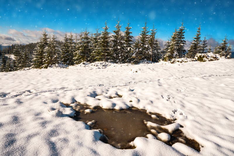 Small Puddle of Melted Snow in the Spring Sun in the Carpathian ...