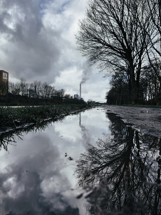 Small Puddle on a Sidewalk Surrounded by Trees and a Street Stock Image ...