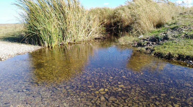 A Small Puddle on the Pavement. Night in the City Stock Photo - Image ...