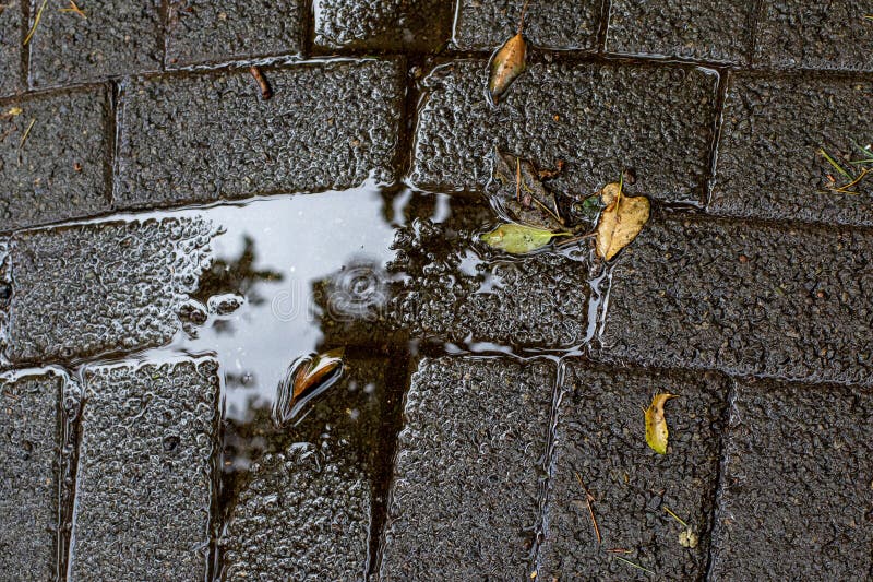 A small puddle of water stock photo. Image of setting - 300115756