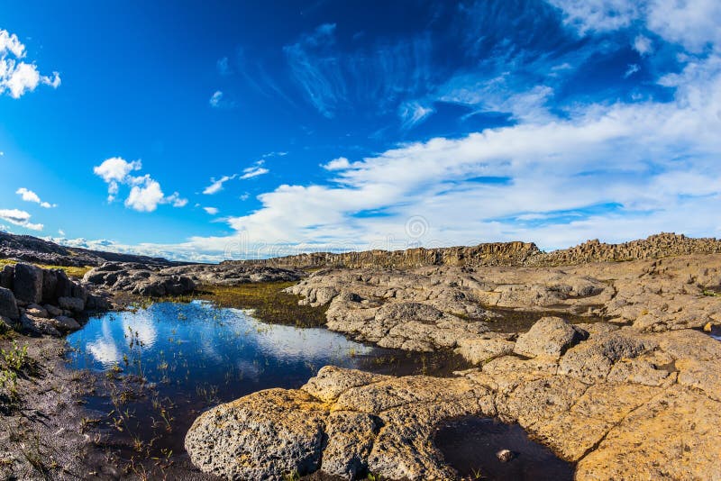 Small puddle stock photo. Image of outdoors, green, nature - 153318792