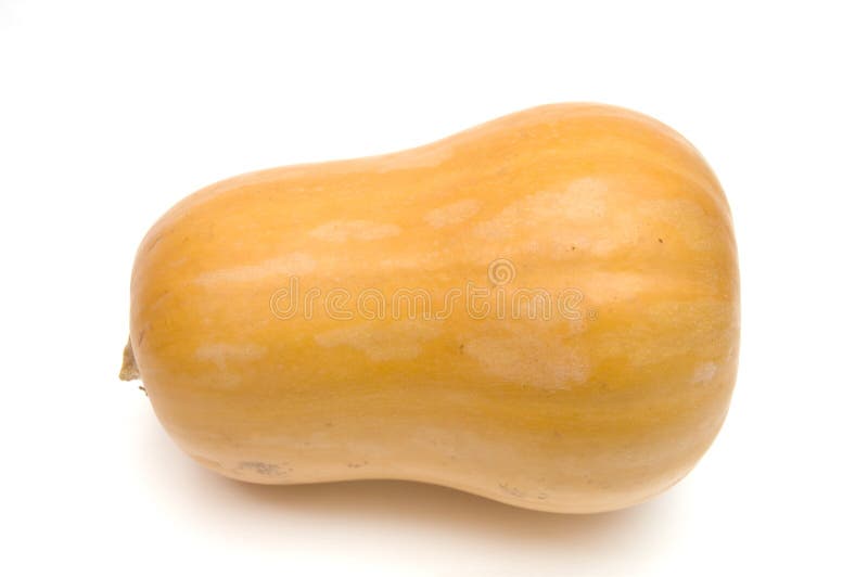 Small pumpkin stock image. Image of nature, life, gold - 6747581