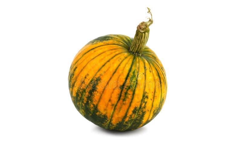 A small pumpkin stock photo. Image of food, healthy, garden - 21927578