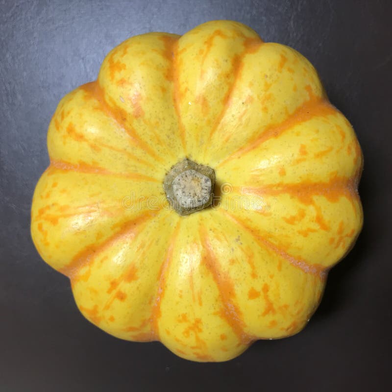 Small pumpkin. stock image. Image of nature, square - 158939037
