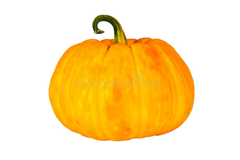 Small Pumpkin stock photo. Image of orange, food, vegetable - 77977140