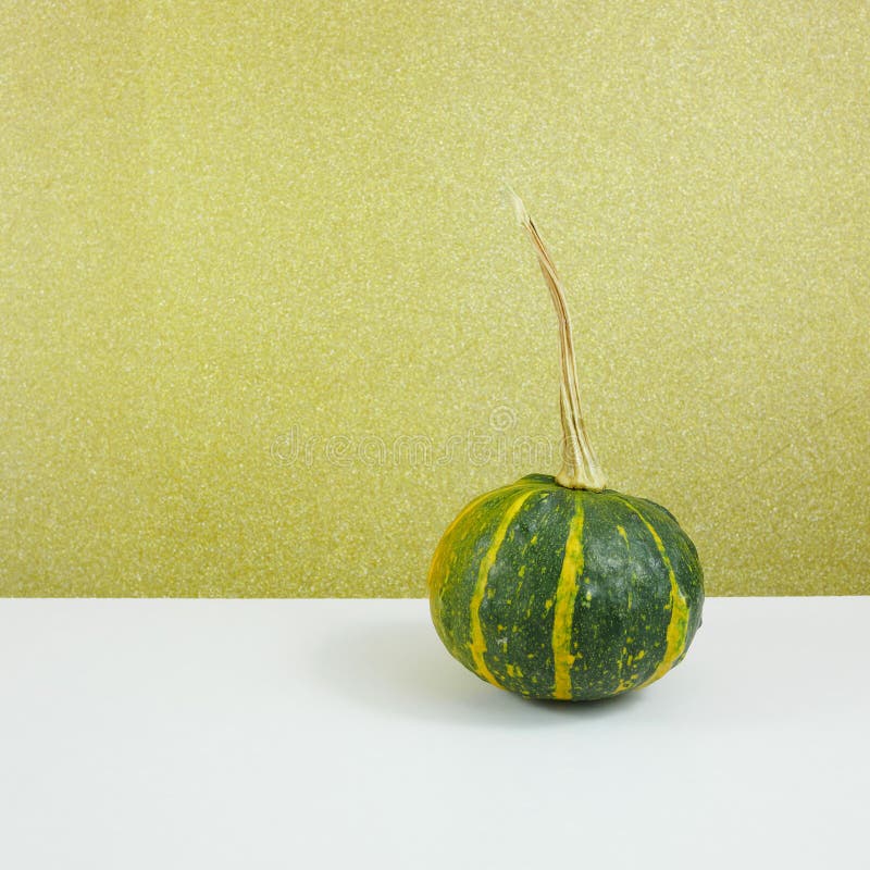 The small pumpkin (2) stock image. Image of ripe, vegetable - 61288555