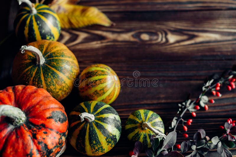 Small Pumpkins with Autumn Leaves Stock Image - Image of wooden ...