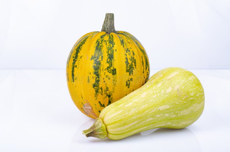 Small Pumpkins of Different Shapes and Varieties Isolated on White ...