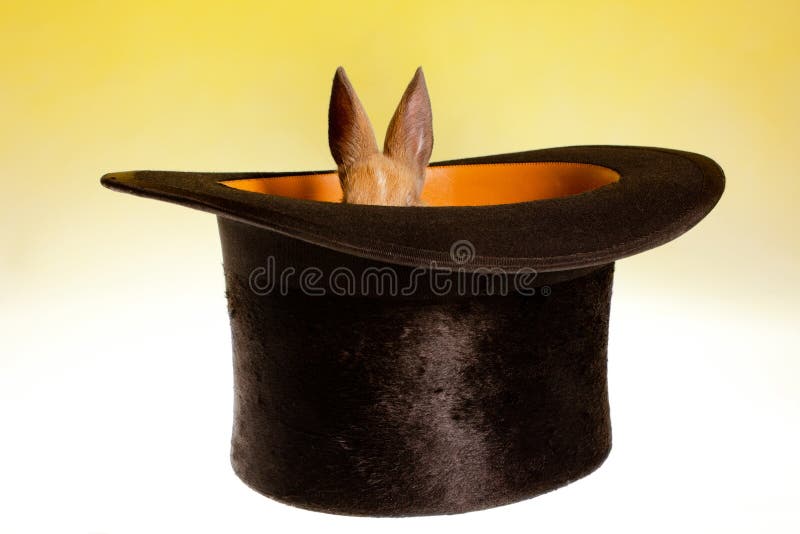 Small Rabbit in a Magic Hat Stock Photo - Image of entertainment, trick ...