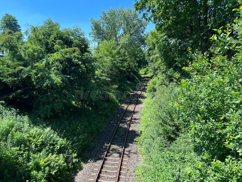 Small Railroad through a Forest. Stock Image - Image of beautiful ...