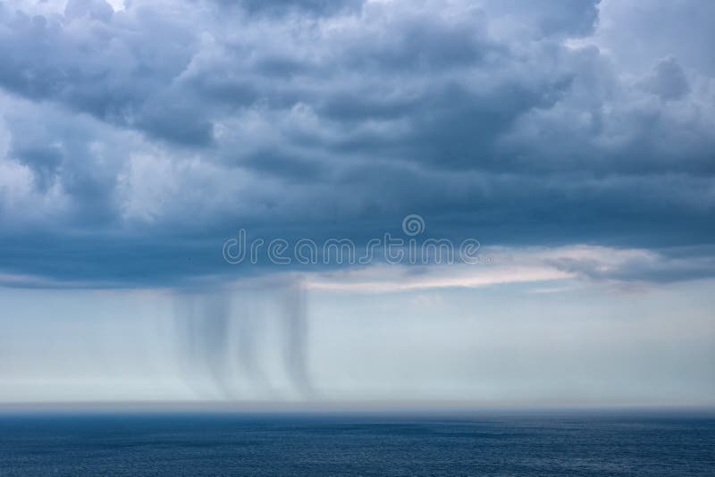 Small Rain Forest in a Jar with Self Ecosystem Stock Photo - Image of ...