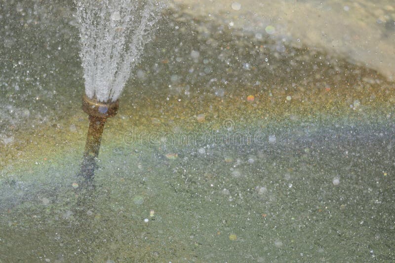 Small rainbow stock image. Image of flower, flowers, small - 91817161