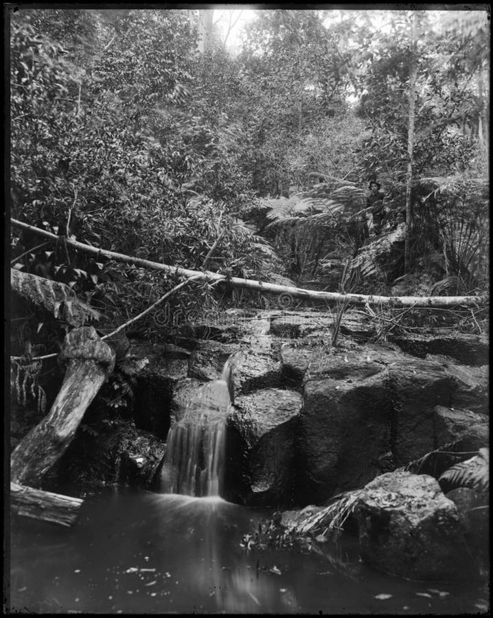 Small Rainforest Waterfall Picture. Image: 222341744