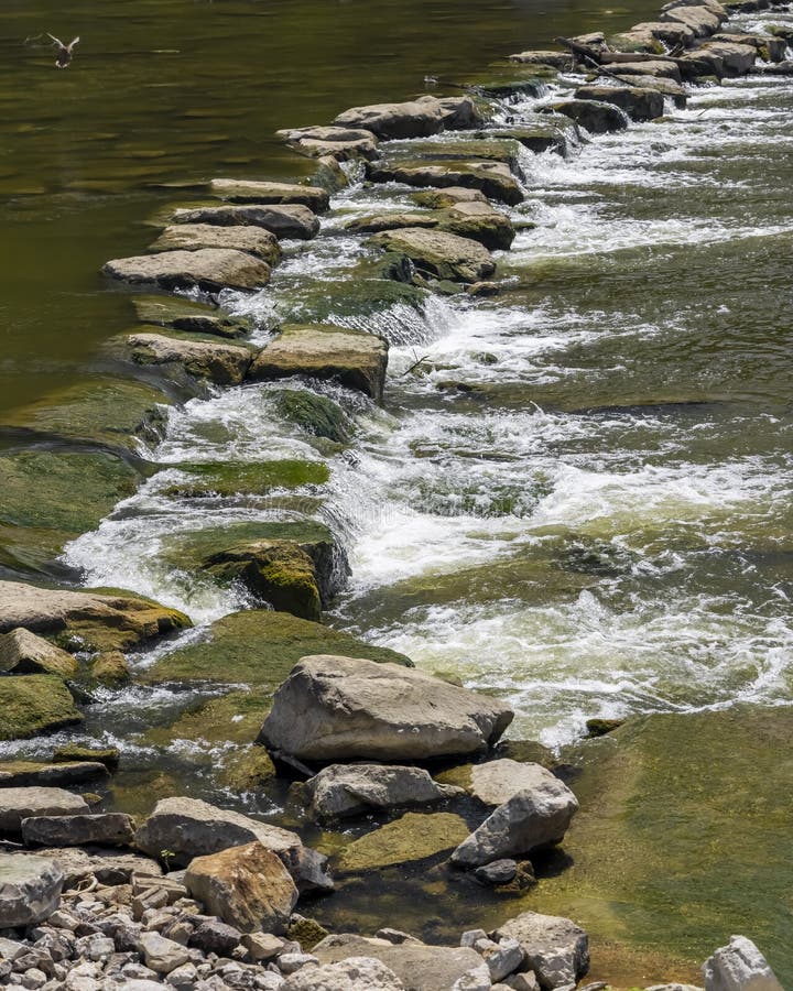 Small Rapids in Cass River in Michigan Stock Photo - Image of brown ...