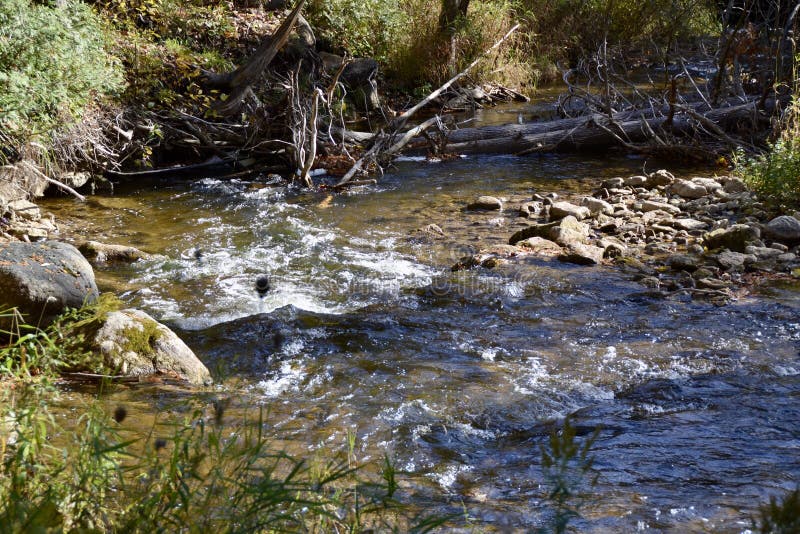 Small Rapids in Flowing Stream Along Hiking Trail at Devil S Glen Stock ...