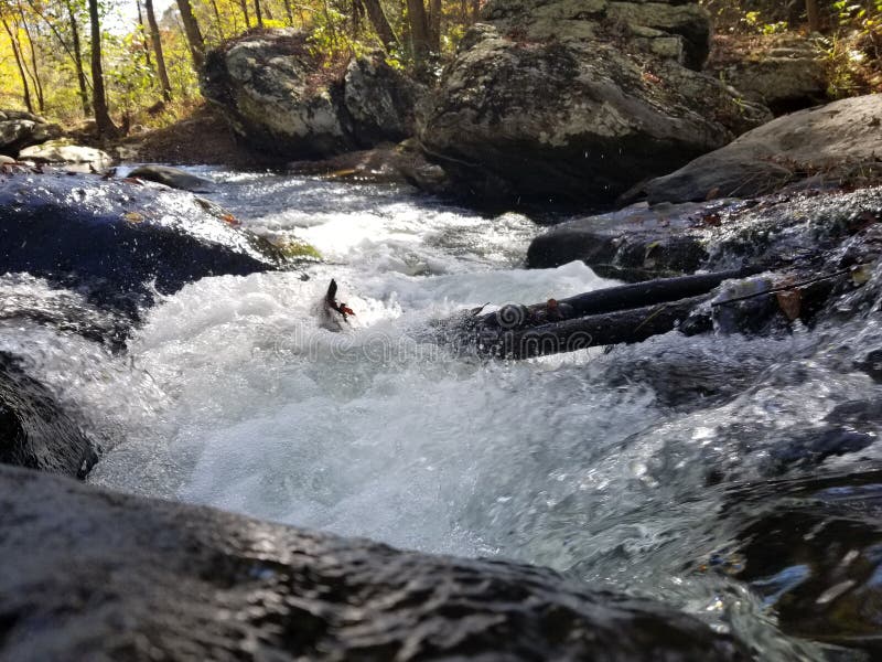 Small Rapids in stream stock image. Image of stream - 117680557