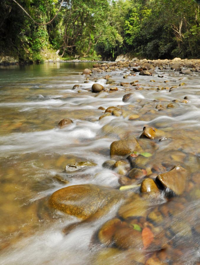 Small Rapids in a Tropical Froest Stock Photo - Image of malaysia ...