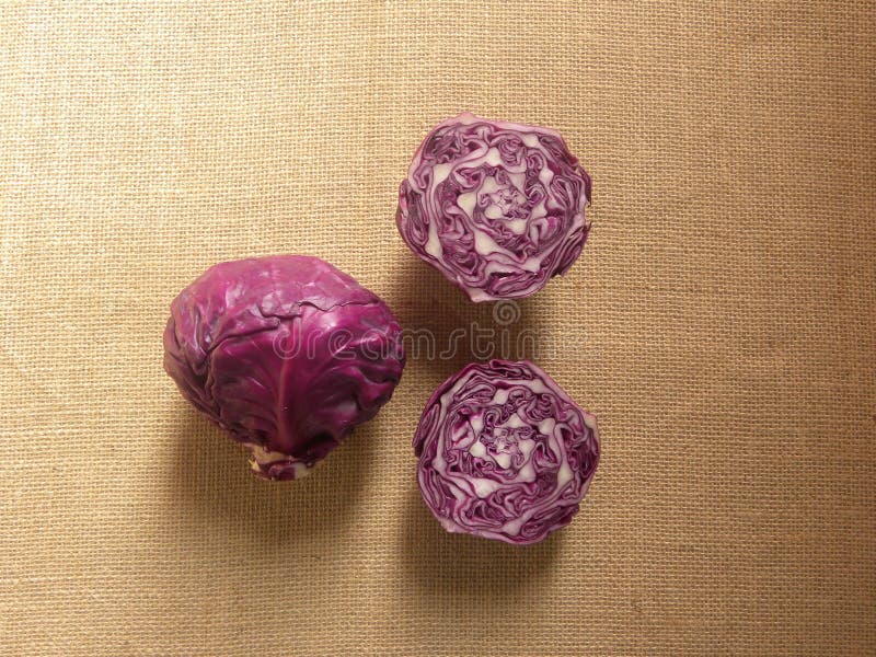 The color cabbage stock photo. Image of foliage, leaf - 39687602