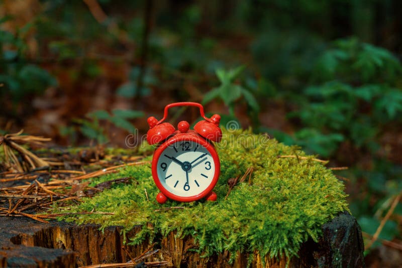 Small Red Alarm Clock on a Forest Stump. Alarm Clock in the Forest on ...