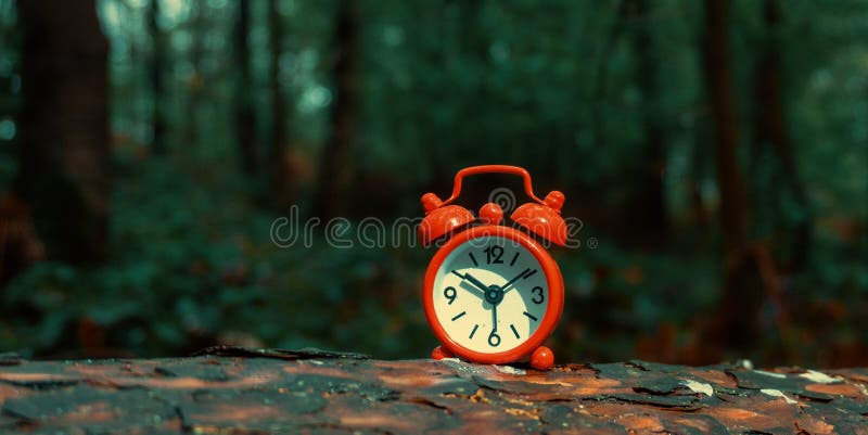 Small Red Alarm Clock on a Forest Stump. Alarm Clock in the Forest on ...