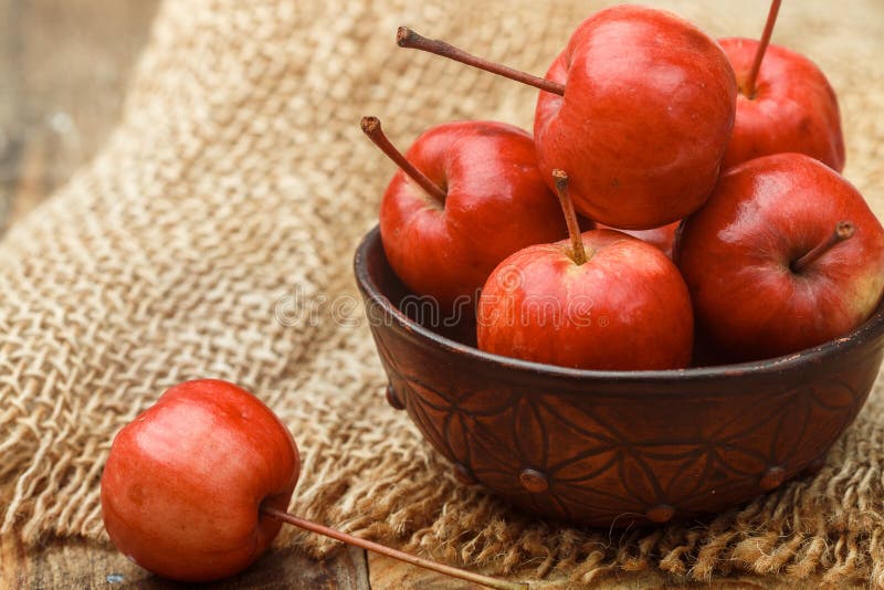 Small red apples. Ranetki stock image. Image of apples - 100891339