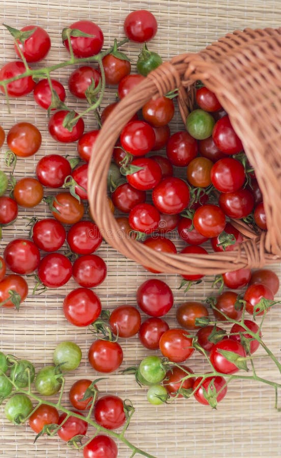 Small Red Cherry Tomatoes are Good Stock Photo - Image of leaf, lunch ...