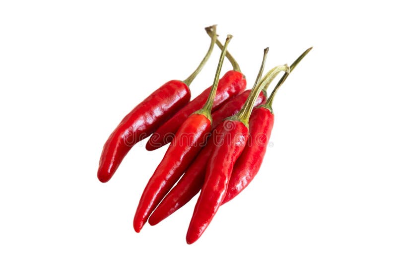 Small Red Chili Peppers Isolated on a White Background Stock Image ...
