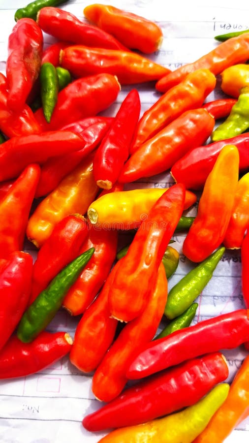 Smallchili Stock Photos - Free & Royalty-Free Stock Photos from Dreamstime