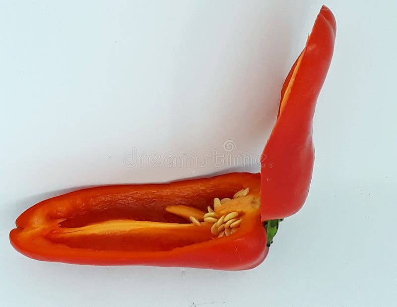 Small red chilli stock photo. Image of small, chilli - 143095660
